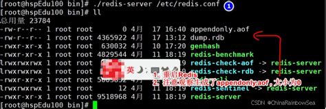 九 Redis 持久化 AOF 详细讲解说明一个配置一个说明分析步步讲解到位 知乎