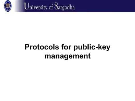network security ppt