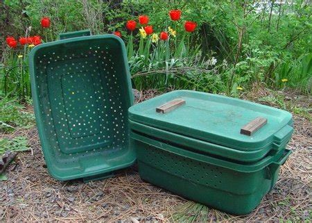 Creating Your Own Worm Bin
