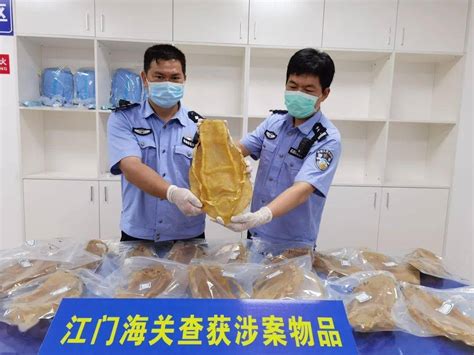 2020年海关打击走私十大典型案例行动