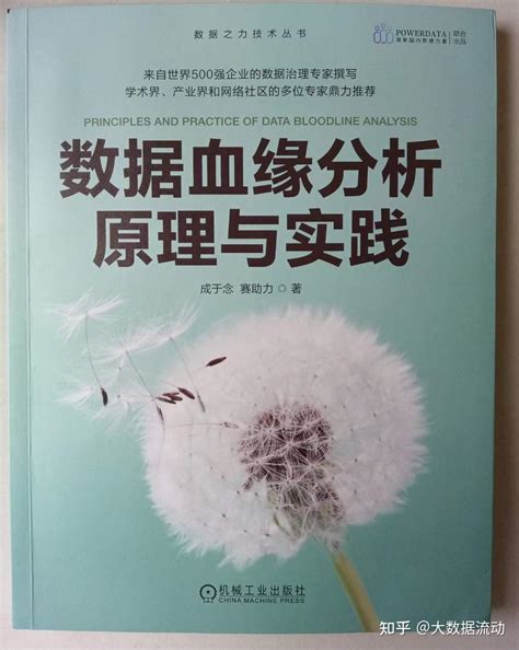 好书推荐数据血缘分析原理与实践 数据治理神兵利器 知乎