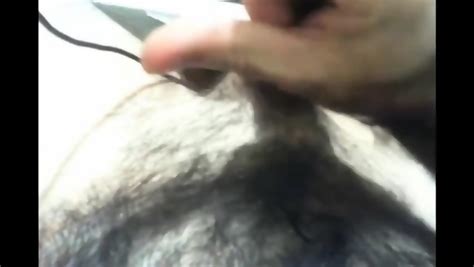 Hairy Bear Shows Off On Webcam