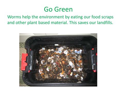 PPT Vermicomposting Worm Composting PowerPoint Presentation Free Download ID 2322187