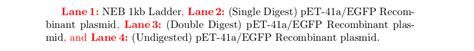 How To Prevent Line Breaks Within In Description Tex Latex Stack