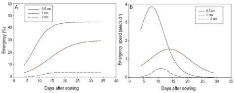Physiological Evaluation Of Sonchus Oleraceus L Seeds With Different