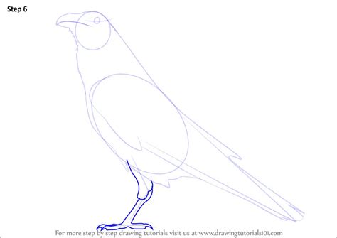 How To Draw A Raven Birds Step By Step