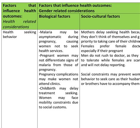 Figure 4 Gender Analysis Matrix