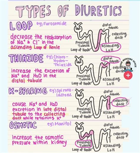 Types Of Diuretics Manual Of Medicine
