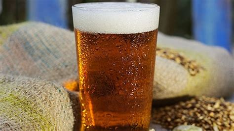 Receitas De Cerveja Artesanal 5 Estilos Mais FÁceis Para VocÊ ComeÇar