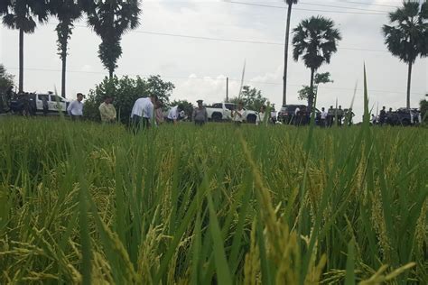 မွန်ပြည်နယ်ဝန်ကြီးချုပ် ဦးအောင်ကြည်သိန်း ချောင်းဆုံမြို့နယ်ရှိ မိုးစပ