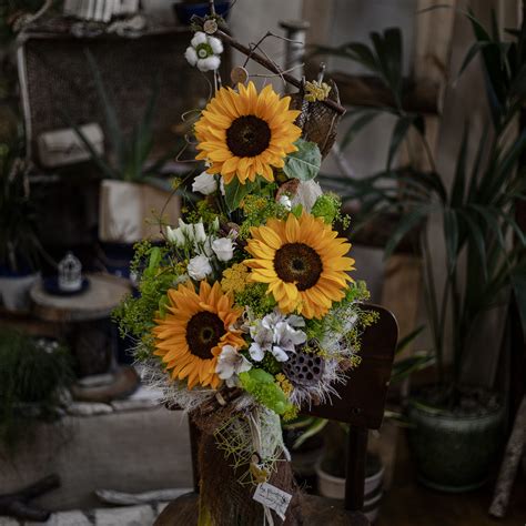 Слънчогледи Интересни факти за слънчогледите произход видове и грижа