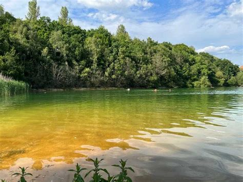 Wild Swimming And Bacon Baps Divers Cove