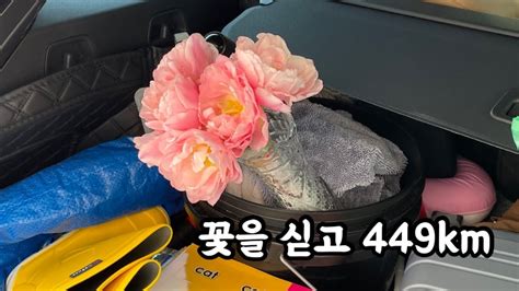 꽃선물 들고 친정 왔는데 Youtube