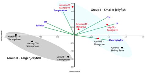 Principal Component Analysis Pca Analysis Of Spatial And Temporal Download Scientific Diagram
