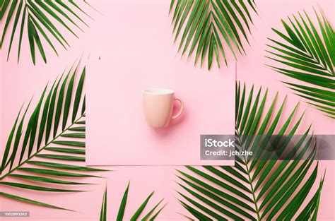파스텔 핑크 배경 종이 카드 메모와 함께 열 대 야 자 나뭇잎 컵 최소한의 여름 개념입니다 크리에이 티브 레이아웃입니다 상위 뷰 평평 하다입니다 펀치 파스텔 종이에 리프