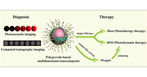 Construction Of A Polypyrrole Based Multifunctional Nanocomposite For