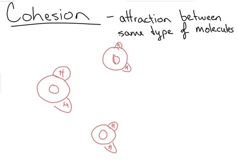 Solved 2 To Expand Ideas Principles Of Cohesion And Coherence Are Applied Just Like