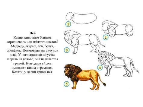 Поэтапное рисование животных презентация онлайн