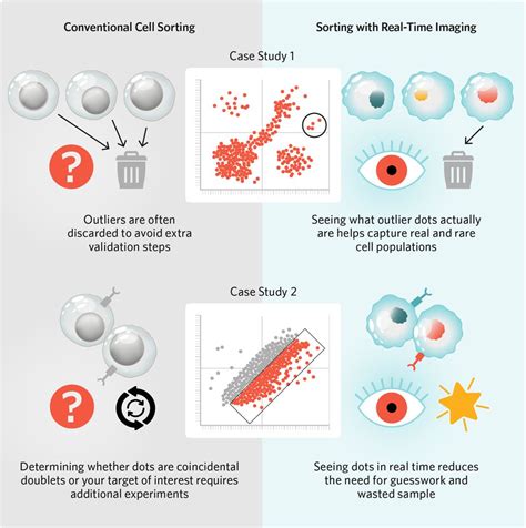 Seeing And Sorting With Confidence The Scientist