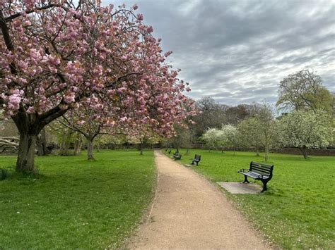 Yonca Kurt On Linkedin Spring In Liverpool 🌸