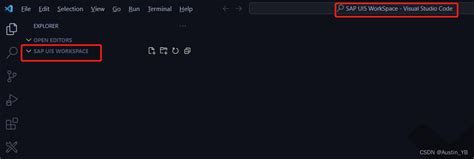 使用vscode工具搭建 Sapui5开发环境vscode Sapui5 Csdn博客