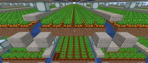 Efficient Wheat Farm Minecraft