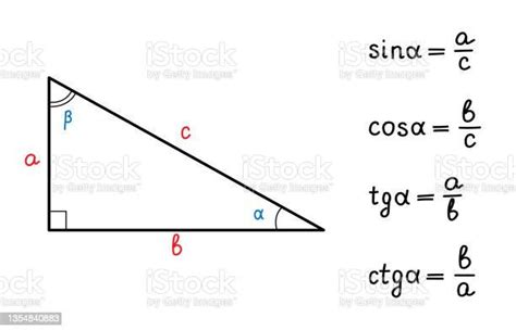 기본 삼각체 Id입니다 부비동 코신 접선 코탄젠트를 계산하기위한 수식 삼각형교육 학교 프로그램 높은 수학 필기 수학 텍스트 각도에 대한 스톡 벡터 아트 및 기타 이미지