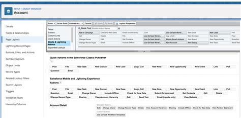 Custom Button Not Showing In Page Level Action Menu In Lightning