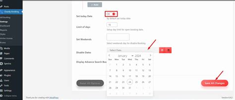 How To Install And Use Cleanly Plugin In WordPress 2025 ThemeDev