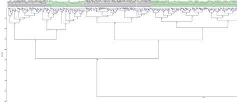 ward s dendrogram in combination with euclidian distances for full