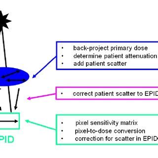 PDF D EPID Based In Vivo Dosimetry For IMRT And VMAT