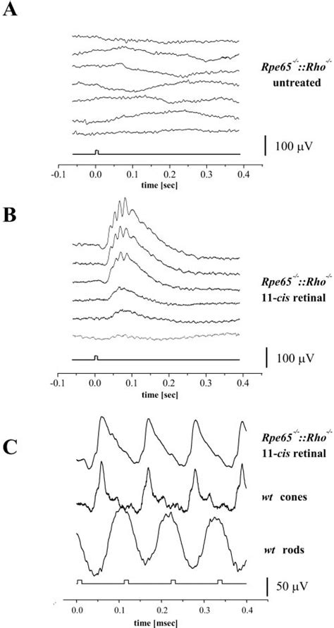 Cone Ergs In Rpe65 Rho Mice After 11 Cis Retinal Treatment