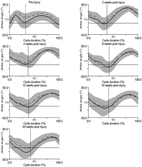 Kinematic Plots In The Sagittal Plane For The Ankle Angle º As It