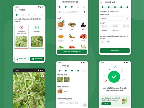 Dribbble Farmer Crop Diseases Protectionpng By Abhishek Beniwal