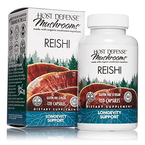Top 5 Best Reishi Mushroom Supplement 2025 Guides By Rebatekey
