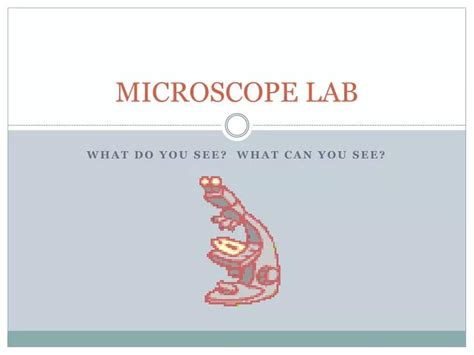PPT MICROSCOPE LAB PowerPoint Presentation Free Download ID 2610074