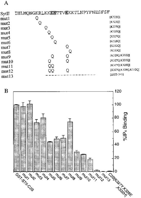 Mutational Analysis Of The Ip 4 Binding Domain A The Amino Acid