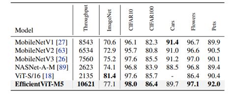 Efficientvit Memory Efficient Vision Transformer For High Resolution Computer Vision Uniteai
