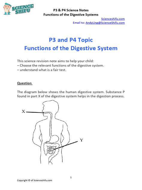 02 Science Shifu P3 And P4 Topic Functions Of The Digestive System Pdf