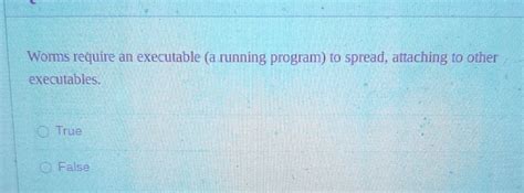 Solved Worms Require An Executable A Running Program ﻿to