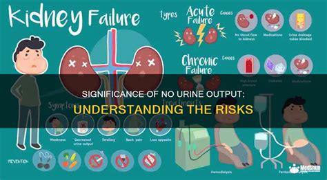 Significance Of No Urine Output Understanding The Risks Medshun