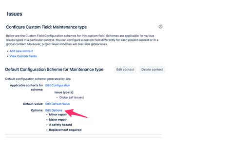 User With Administrator Permissions Is Unable To Edit A Custom Field To Add Options Under A