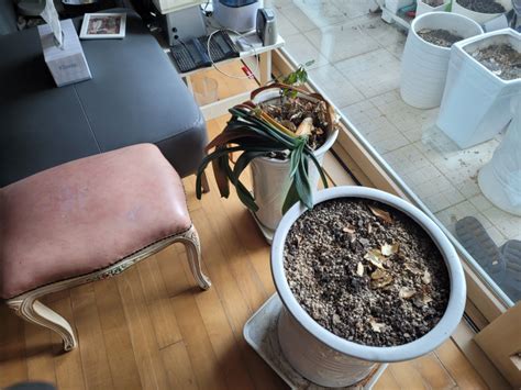 시흥시 군자동 거실 가구 처분 화분 수거 사무실 철거 책상 파티션 처리 화환 버리기 네이버 블로그