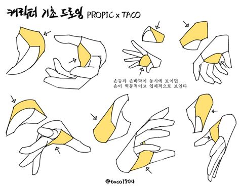 Discover 900 Taco Anatomy And Drawing Tutorial Ideas Body Reference