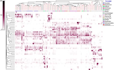 A Heatmap Displaying The 50 Most Numerically Dominant Otus As Download Scientific Diagram