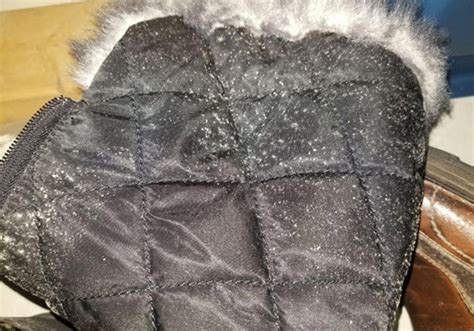 How To Get Mold Out Of Clothes 5 Methods Cleaner Digs