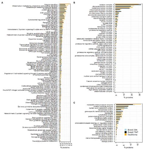Panther Classification Of Endoc βh1 Cell Proteome Compared To Download Scientific Diagram