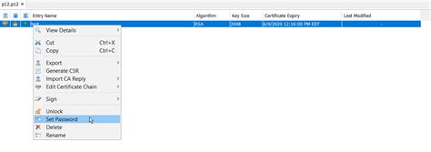 Create Ssl Certificate Windows Using Keystore Explorer Couturemyte