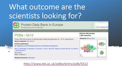 How To Scale From Workstation Through Cloud To Hpc In Cryo Em Processing Ppt