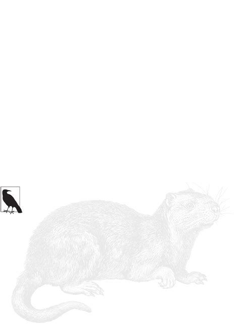 第1章 从超文本到超数据 Restful Rails Development 中文版 Book